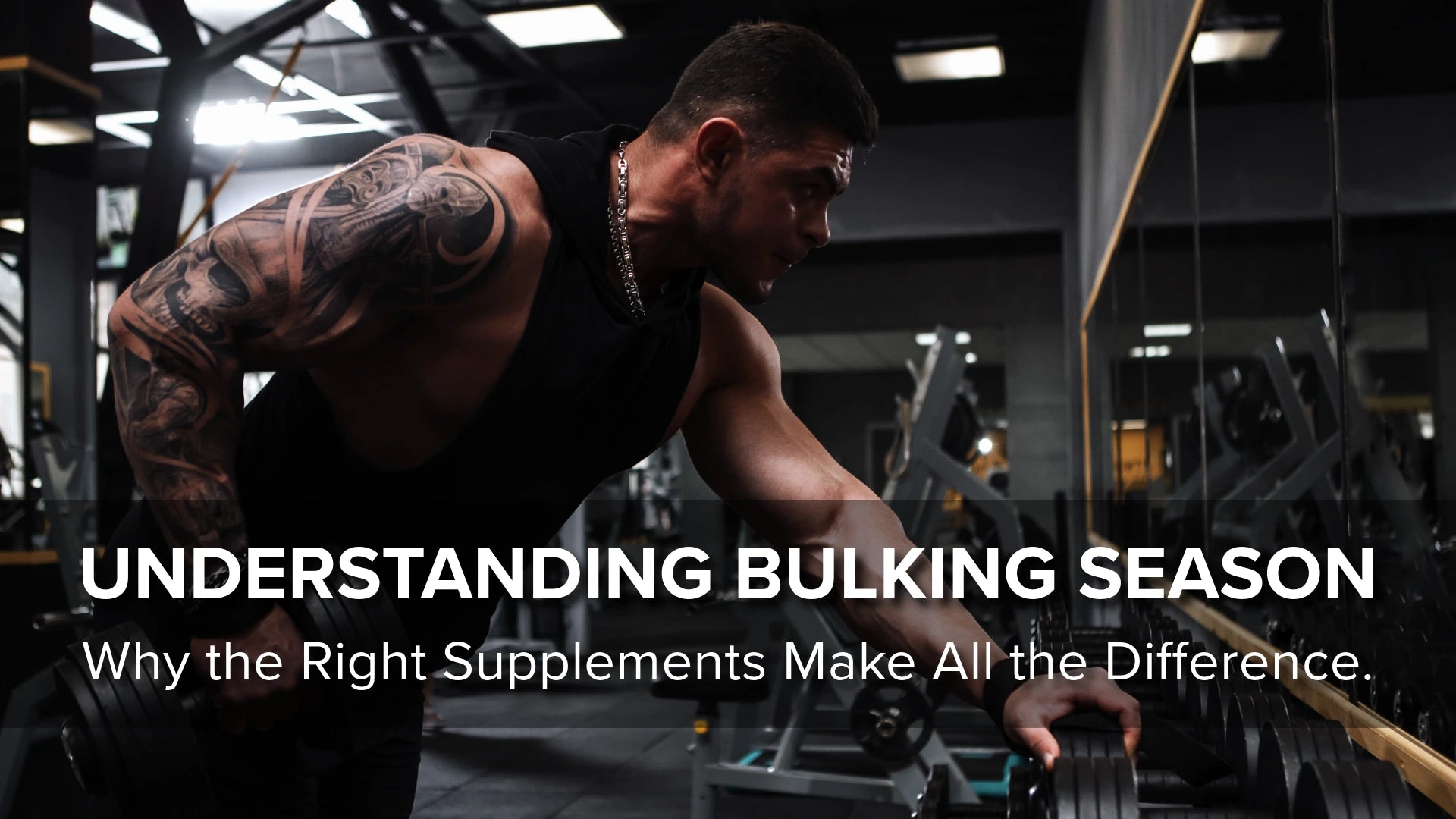 Understanding Bulking Season: Why the Right Supplements Make All the D